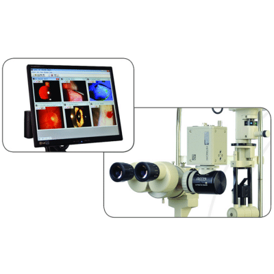 TelScreen Home - TelScreen